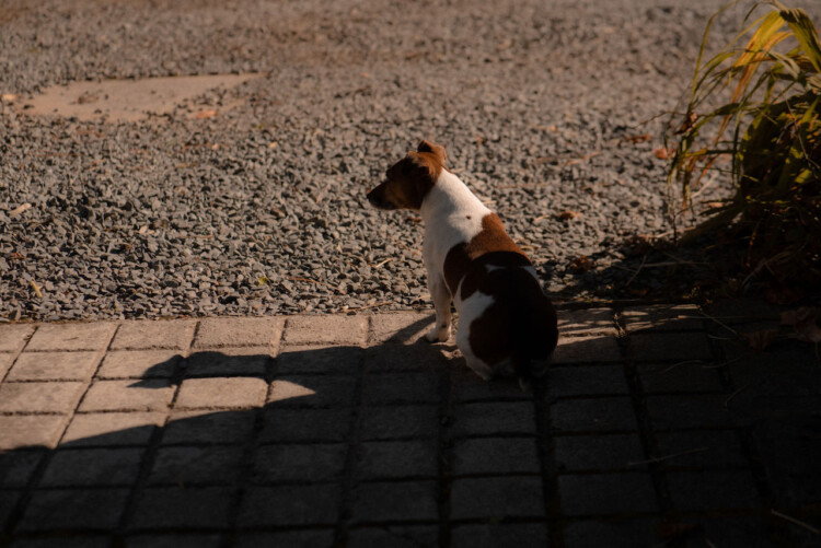 Intimate Dunskey Estate Wedding of Katie and Dominic - Radoslaw Rachwal ...