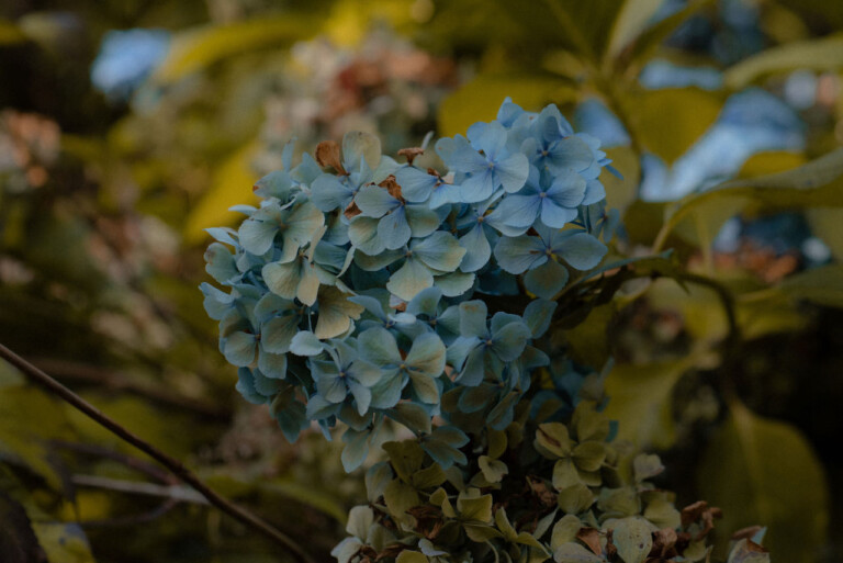 Intimate Dunskey Estate Wedding of Katie and Dominic - Radoslaw Rachwal ...